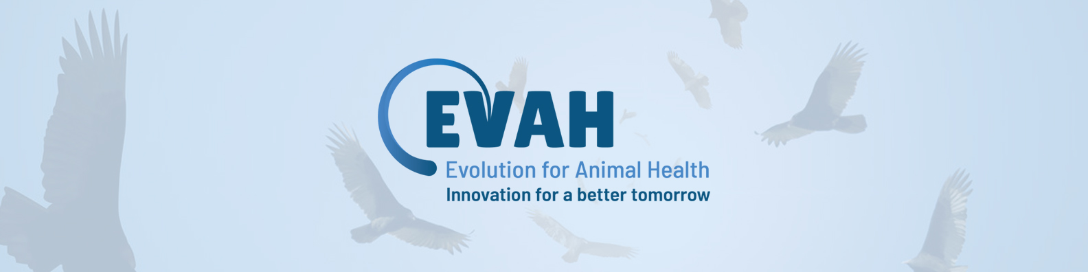 EVAH is about to close its $20 million Series A funding round
