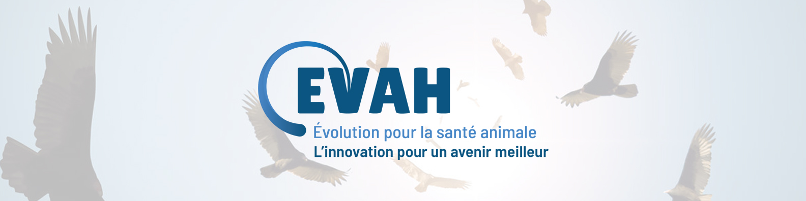 EVAH en voie de compléter sa ronde de financement de 20 millions