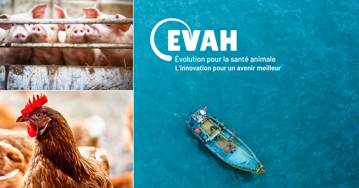 EVAH conclut un financement de série B de 8,5 millions